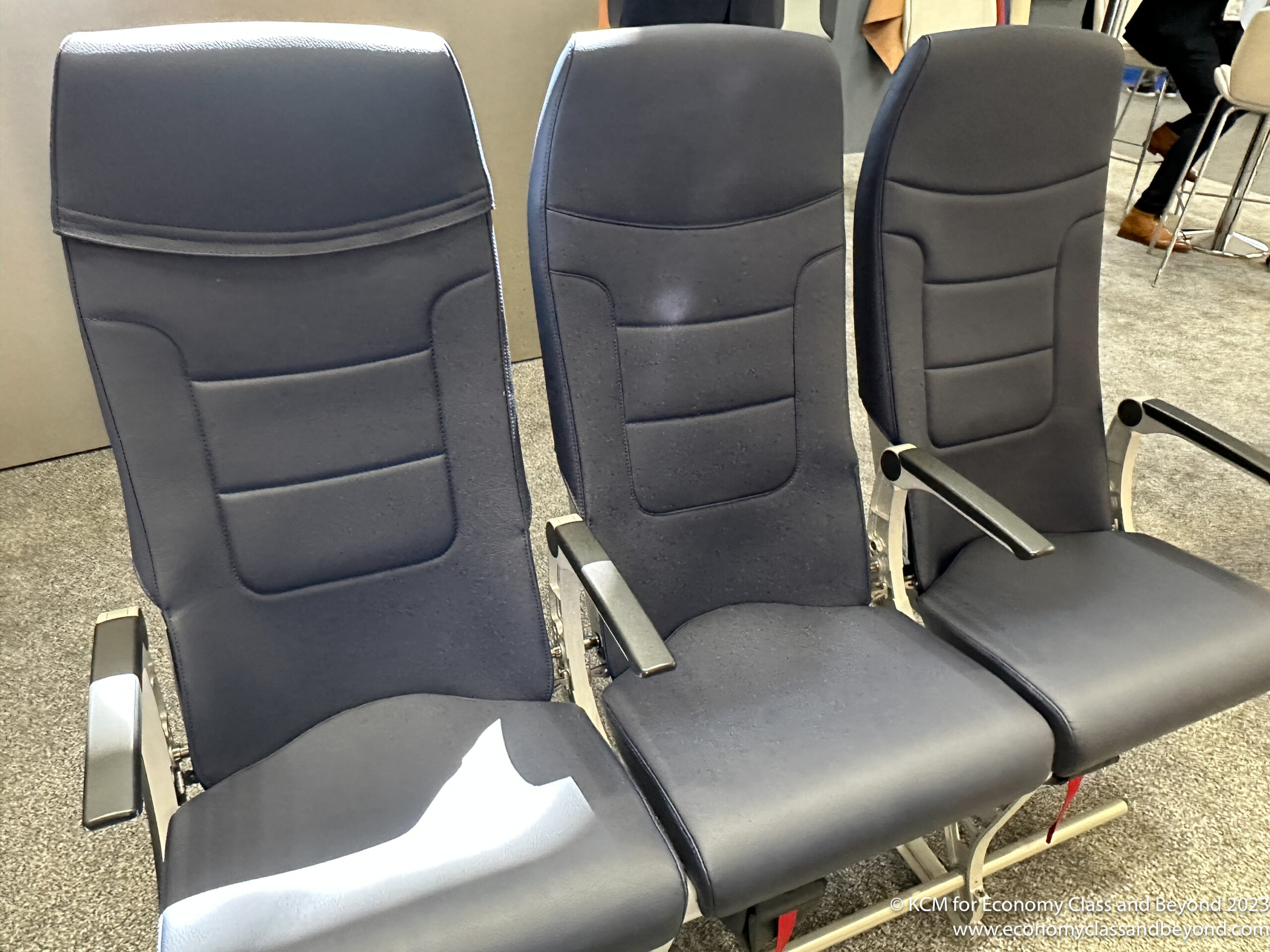 IMG_9280 - Economy Class & Beyond