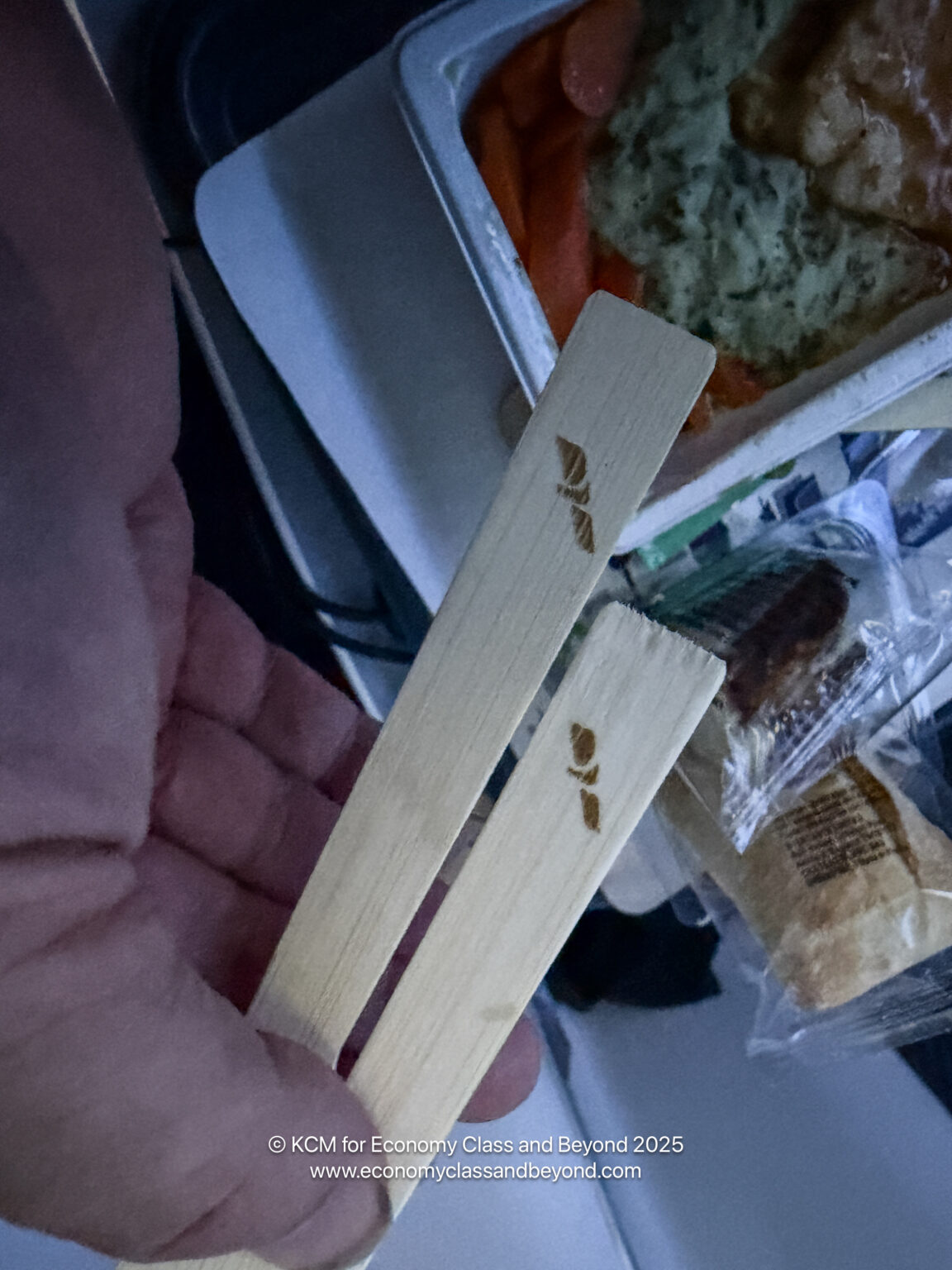 IMG_3662 - Economy Class & Beyond